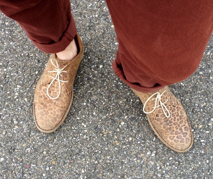 Sunshine and leopard | BW-YW